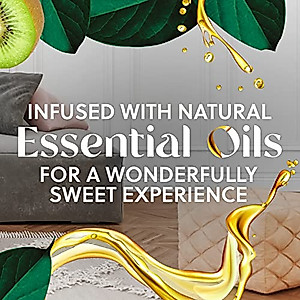 Air Wick Plug in Scented Oil Refill, 7 ct, Peach & Sweet Nectar, Air Freshener, Essential Oils