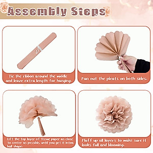 Boho Baby Shower Decorations for Girl A Little Ray of Sunshine Daisy Boho Backdrop Blush Pink Balloons Dusty Rose Paper PomPoms Champagne Fringe Curtain for Boho Rainbow Birthday Baby Shower Decor