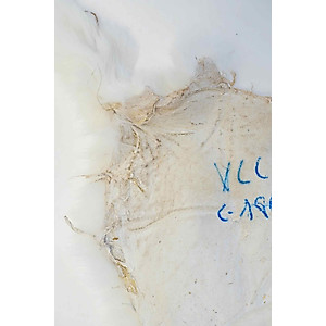 SLC Genuine White Rabbit Pelt for Décor & Crafts, Single Genuine Fur Hides