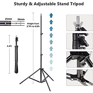 Backdrop Stand 6.5x10ft, ZBWW Photo Video Studio Adjustable Backdrop Stand for Parties, Wedding, Photography, Advertising Display with 12 pcs Balloons