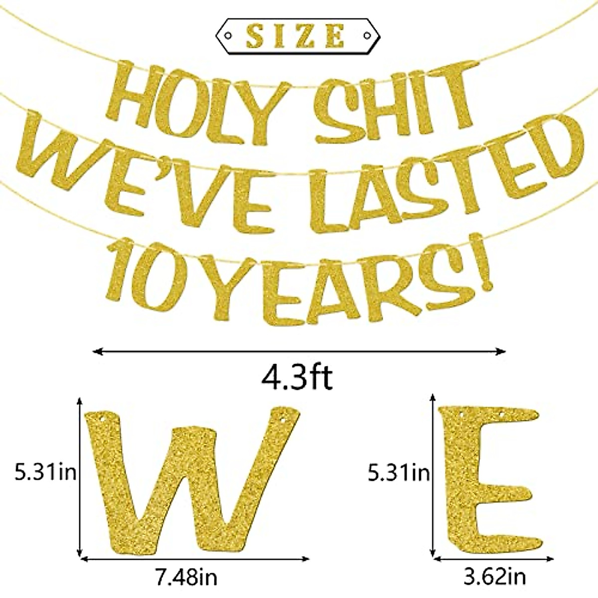 Holy Shit We've Lasted 10 Years Banner, 10th Wedding Anniversary Party Decorations, Funny Decor for Him Her Husband Wife Parents, Pre-Strung, Gold Glitter