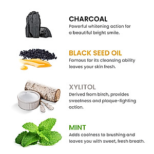 Himalaya Botanique Whitening Antiplaque Toothpaste with Charcoal + Black Seed Oil, Fluoride Free, for Whiter Teeth, 4 oz, 2 Pack