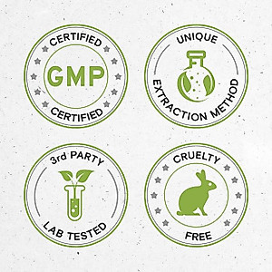 UTI Secret Alcohol-Free Extract, High-Potency Herbal Drops, Tincture Made from Cranberry, Bromelain, Pineapple, Uva Ursi, Oregon Grape, Corn Silk, Horsetail. Urinary Tract Formula 2 oz