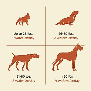 Spirited Paw Joint and Mobility for Dogs - Joint Support Supplement for Dogs - Antioxidant Supplement with Vitamin C & E - Dog Supplement with Glucosamine & Chondroitin - 100 Chewable Wafers