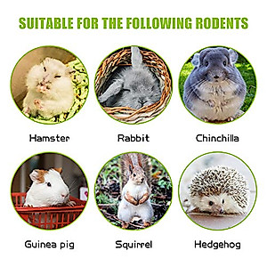 Bac-kitchen 3 Types of Combined Chew Toys Molar Sticks, All Natural Sweet Bamboo Apple Branch Timothy Grass Sticks for Rabbits Chinchilla Hamsters Guinea Pigs Gerbils, Improve Dental Health(Set 2)