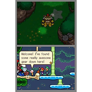 Mario & Luigi Bowser's Inside Story