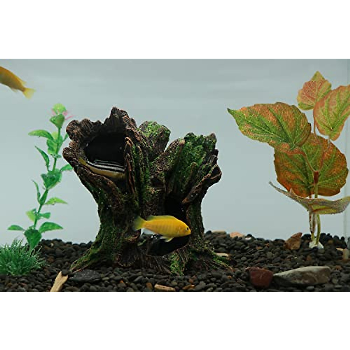 AQUA KT Aquarium Landscape Tree Stump Trunk Hollow Betta Cichlid Cave Rocks for Fish Hiding Tank Decoration Decorations