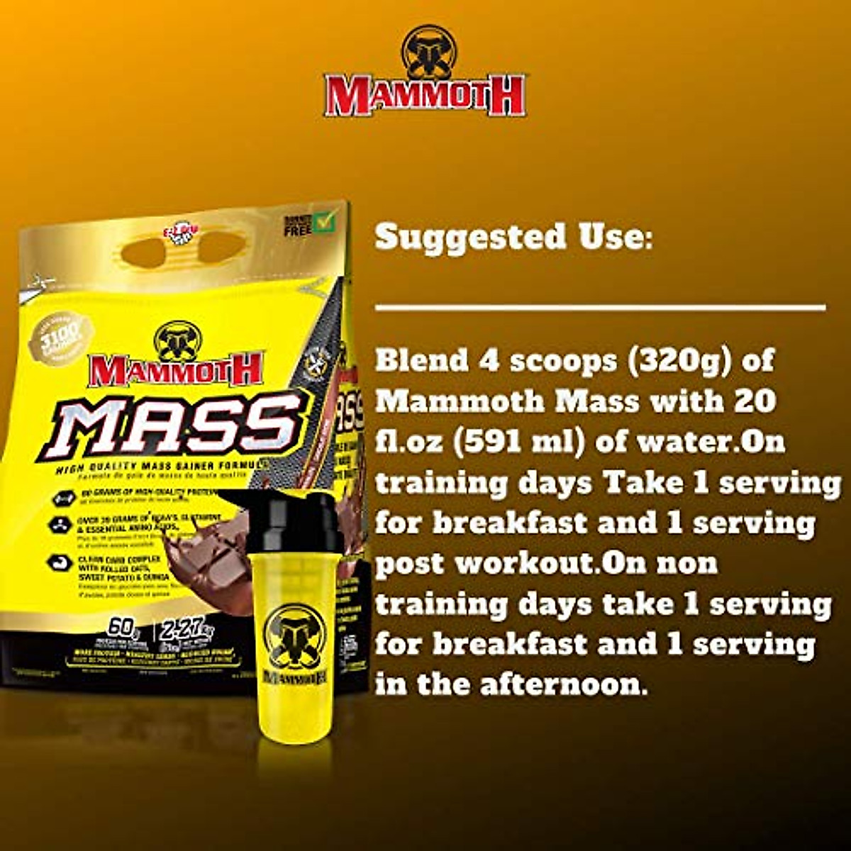 MAMMOTH MASS: Weight Gainer, High Calorie Protein Powder Workout Smoothie Shake, Meal Replacement, Low Sugar, Whey Isolate Concentrate, Casein Protein Blend, Weight Training, High Protein (Chocolate, 5lb)