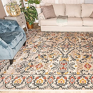 SUPERIOR Jacinda 8' x 10' Indoor Area Rug, Tan