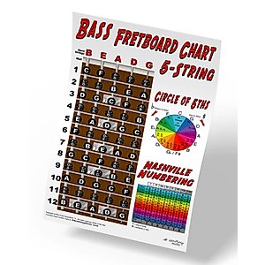 5 String Bass Fretboard Poster - Nashville Numbering System, Circle of 5ths, Notes Instructional Chart | A New Song Music | 11x17
