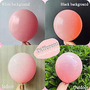Scmdoti Rose Gold Different Sizes,Double Stuffed Pink Balloon Arch,Pastel Pink Balloons Garland,18/12/10/5 Inch Pink Balloons for Boho Party, Baby Shower, Birthday, Weddings (blue)