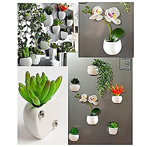 Fridge Magnet Plant Magnets Succulent Magnets Artificial Plants Refrigerator Magnets Fake Succulents Whiteboard Magnet Strong Magnetic Fridge Decoration Magnet for Home Kitchen Decoration (A)