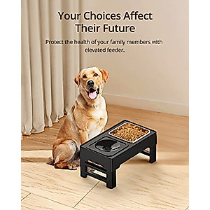 Petace Elevated Dog Bowls, Raised Dog Bowl Stand with No Spill Dog Water Bowl & Stainless Steel Dog Food Bowl, 4 Heights Adjustable for Small Medium Large Dogs and Pets