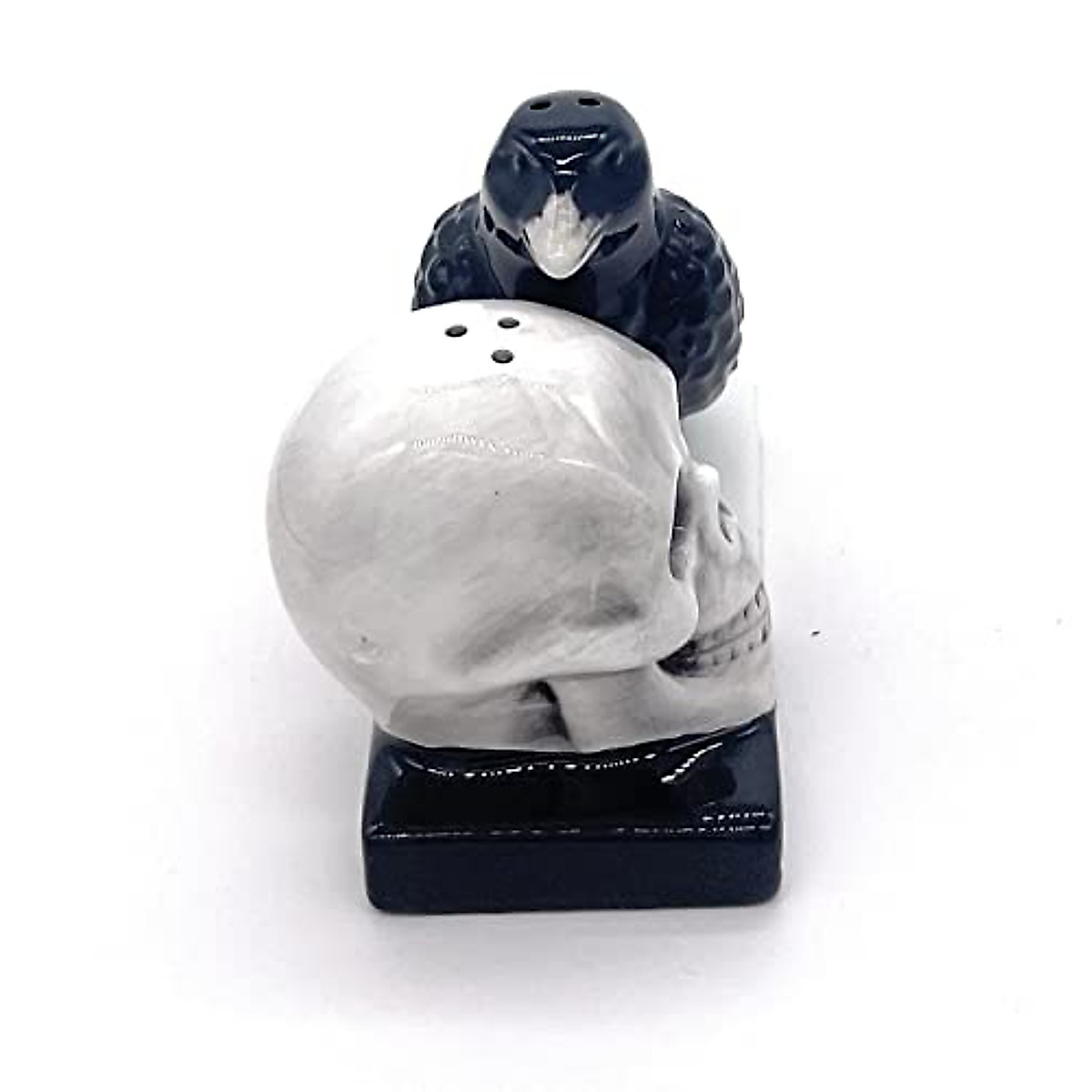 Rustix Quoth The Raven Ceramic Gothic Halloween Decor Cute skull Horror Salt and Pepper Shaker Set Scary Spooky and witchy Gift Fall Season Decor for Kitchen