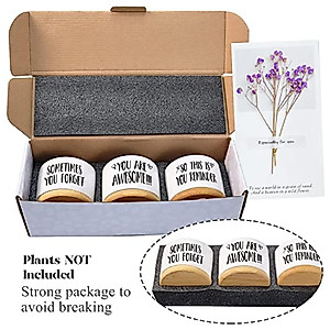 Birthday Gifts for Women, Friend Gifts for Women, Gifts for Her, Sister Gifts, Funny Gifts for Women Unique Gift Ideas for Mom Men Awesome Succulent Pots 3PCS