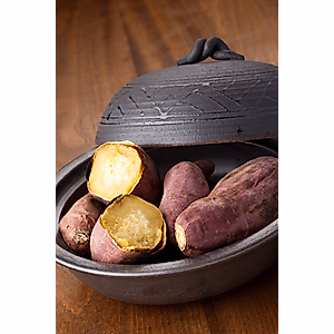 Japanese Donabe Smoker for 4 People, Large