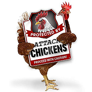 Bigtime Signs Protected by Attack Chickens PVC 9" x 12"| Chicken Fan Lovers Chicken Signs for coop Funny Outdoor | Chicken Coop Signs - Chicken Coop Accessories | Chicken Yard Decorations