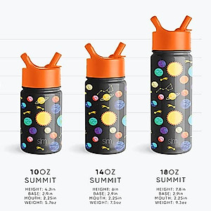 Simple Modern Baby Shark Kids Water Bottle with Straw Lid | Insulated Stainless Steel Reusable Tumbler for Toddlers, Boys | Summit Collection | 14oz, Baby Shark Friends