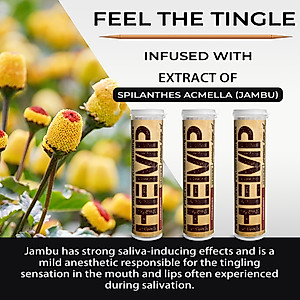 Xero Picks Infused Toothpicks with Hemp Extract (30 Picks) (Cinnamint) - 3 Pack