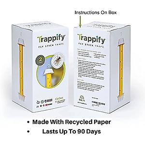 Trappify Hanging Fly Traps Outdoor: Fruit Fly Traps for Indoors | Fly Catcher, Gnat, Mosquito, & Flying Insect Catchers for Inside Home - Disposable Sticky Fly Trap for Indoor House Pest Control (2)
