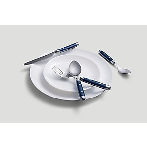 Cambridge Silversmiths, Blue, Jubilee Flatware, Service for 4, 16 Piece Set, Dorm Room Essentials, First Apartment