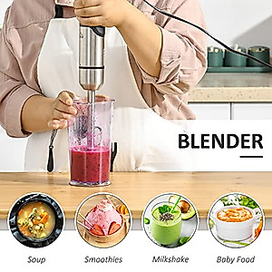 HOMCOM Immersion Hand Blender, 400W 4-in-1 Handheld Stick Blender with Adjustable Speed, 500ml Chopper, Egg Whisk, 800ml Measuring Cup, and Stainless Steel Blades, Silver/Black