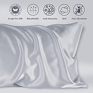 LULUSILK Silvergrey Silk Pillowcase for Hair and Skin, Mulberry Silk Pillow Case with Zipper Closure, Standard Size, Pack of 1