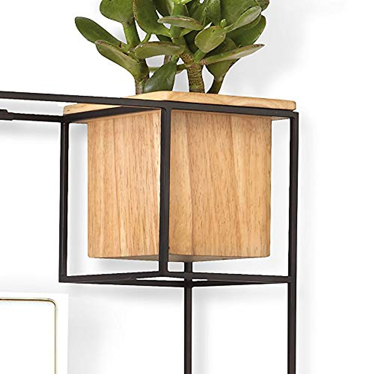Umbra Cubist Floating Shelf with Built-In Succulent Planter – Modern Wall Décor and Geometric Display Shelf for Books, Candles, Mementos, Photos, Indoor Plants and More! | Large, Black