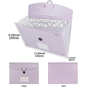 JIMEIQI Accordion File Organizer, 13 Pocket Expanding File Folder Organizer for Letter Size/A4 Documents, Expandable Portable Monthly Bill/Receipt Organizer for Home/Office/School (Makaron Purple)