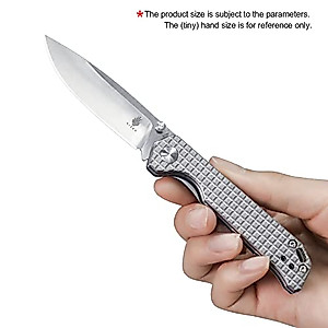 Kizer Begleiter Mini EDC Knife, Titanium Handle with M390 Blade, Small Grey Knife Gift for Men, Ki3458RA2