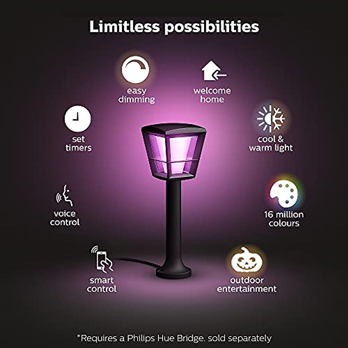 Philips Hue Econic White & Color Ambiance Outdoor Smart Pathway Light Base Kit + Light Extension + Smart Hub