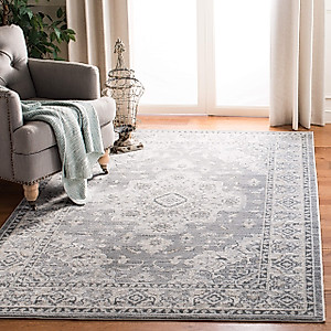 SAFAVIEH Isabella Collection Area Rug - 9' x 12', Grey & Light Grey, Oriental Design, Non-Shedding & Easy Care, Ideal for High Traffic Areas in Living Room, Bedroom (ISA921F)