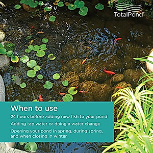 TotalPond A20011 Chlorine Remover Plus, 16-Ounce