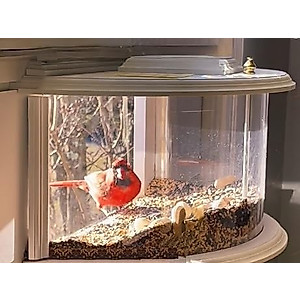 Amish Custom Made Indoor in-Window Bird Feeder, 180° Clear View In-House Feeder, Watch Wild Birds from The Comfort of Your Home - Easy-Fill (29"-36" Window Width)