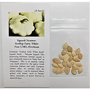 David's Garden Seeds Squash Summer Scallop Early White FBA-1195 (White) 25 Non-GMO, Heirloom Seeds