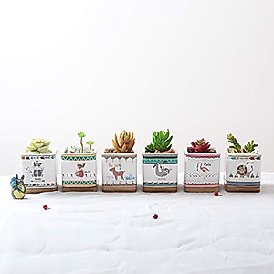 Zamtac Set of 6 Cartoon Animal Painting Planters Ceramic Succulent Plant Pot Porcelain Desktop Bonsai Planter Flamingo Panda Fox
