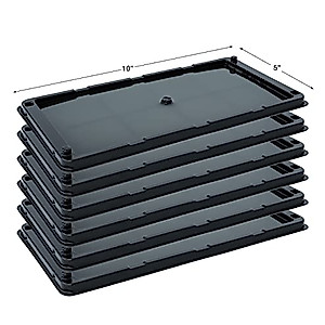 Baited Glue Traps by Catchmaster - 6 Pre-Baited Trays, Ready to Use Indoors. Rat Mouse Snake Exterminator Plastic Sticky Adhesive Easy No-Mess Simple Non-Toxic Disposable - Made in The USA