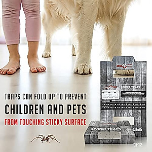 Spider Traps for Inside Your Home (16 Traps) - Spider Catcher Insect Traps Indoor - Spider Traps Indoor Bug Traps Sticky Traps for Spiders - Pre Baited Ultra Sticky Insect Glue Traps - Trap a Pest