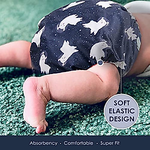 Langsprit 6 Pack Baby Cloth Diaper with Highly Absorbent Inserts, Baby Reusable Diapers, Cloth Diapers Newborn, Washable Cloth Diapers, Reusable Unisex Baby Diapers