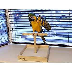 Deluxe Large Tabletop NU Perch - Parrot T Perch Stand Large