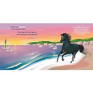 Little Genius Horses