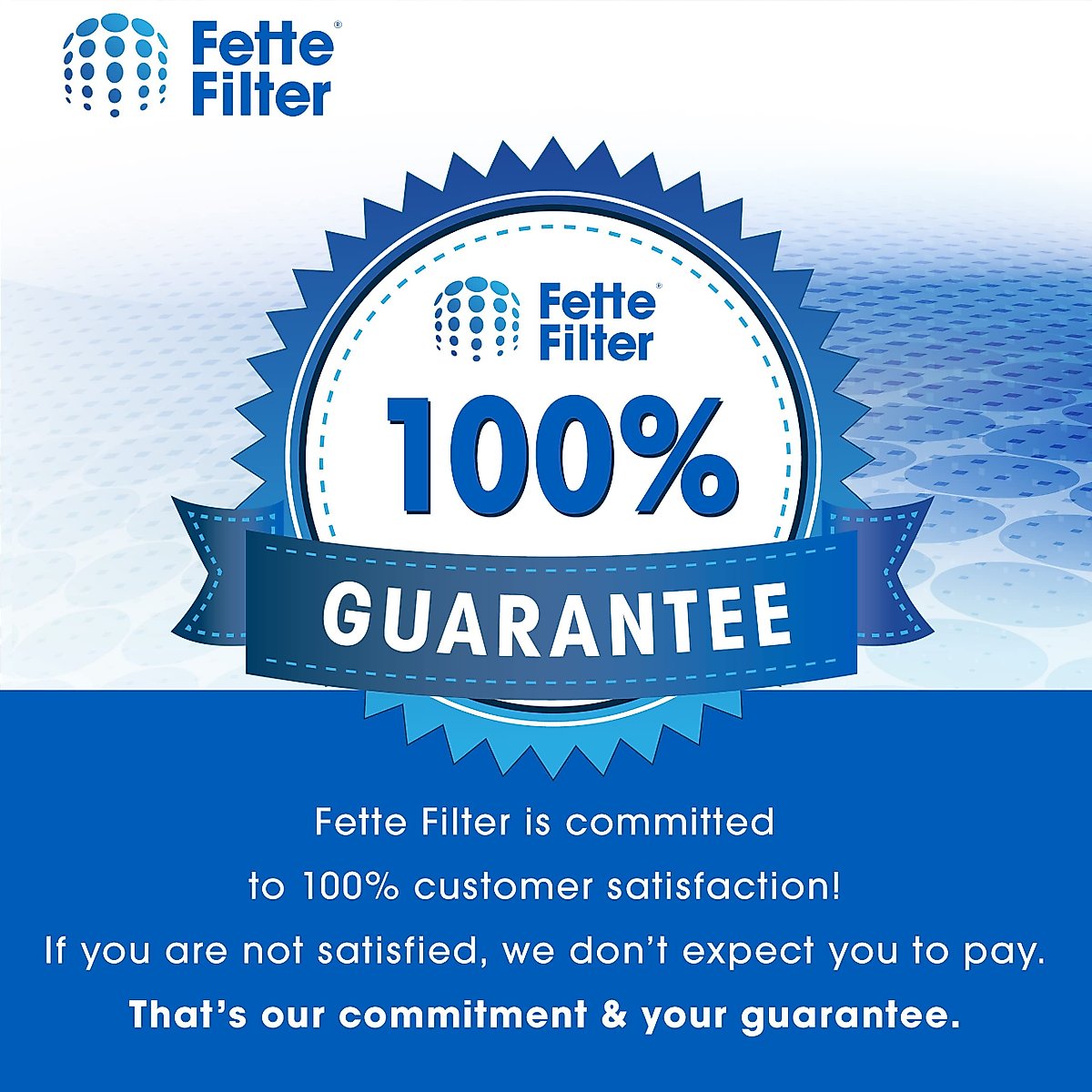 Fette Filter - 6 Pack of Premium True HEPA H13 Filter R Compatible with Honeywell Filter R for All HPA Series Air Purifier Part Number Filter R HRF-R3 HRF-R2 HRF-R1 HRF-ARVP300 HPA300