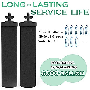 IT'S PURE EXPERT Water Filter, Replacement for Gravity Water Filter System, Black Purification Elements, 2 Packs