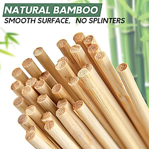 200 PCS Bamboo Skewers 12 inch - Wooden Skewers for Grilling, Fruit, Appetizers, Chocolate Fountain, BBQ, Shish Kabob - Natural Wood Skewer for Kitchen, Party, Crafting, Φ=4 mm (Qtipzify)