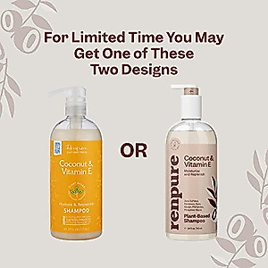 Renpure Plant Based Coconut and Vitamin E Moisturize and Replenish Shampoo - Ideal for Lifeless Hair - Leaves Hair Silky and Smooth - Rids Hair of Grime - Recyclable, Pump Bottle Design - 24 fl oz
