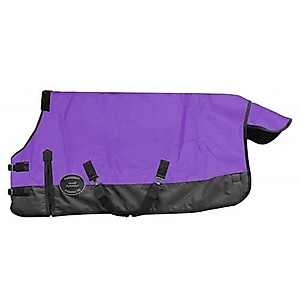 Showman Adjustable 56"-62" 1200 Denier Winter Pony/Yearling (Purple/Black)