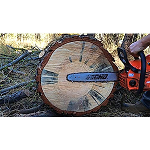 16 inch Chainsaw Chain,3/8 LP .050 Inch 56 Drive Links,compatible fits for Craftsman,Echo,Homelite,Poulan,Remington（Pack of 2）