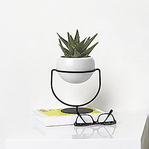 Umbra 1009251-748 Nesta, Table Top or Hanging Modern Planter, Ideal Succulent Plant Holder, White/Black,Single Planter