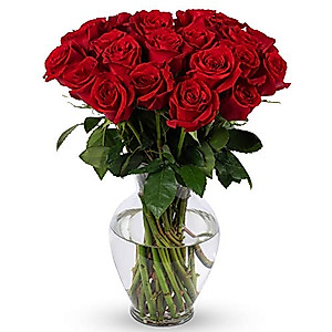 Benchmark Bouquets 2 Dozen Red Roses, With Vase (Fresh Cut Flowers)