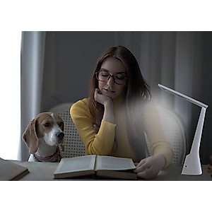 AOIRHLA Portable LED Desk Lamp, Rechargeable LED Lamp, Desk Lamp Battery Powered,Small Cordless Table Lamp, 3 Color Modes,3 Brightness Levels,White